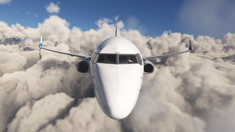 PMDG 737-900ER Alaska Airlines - Snowflakes - N287AK for Microsoft ...