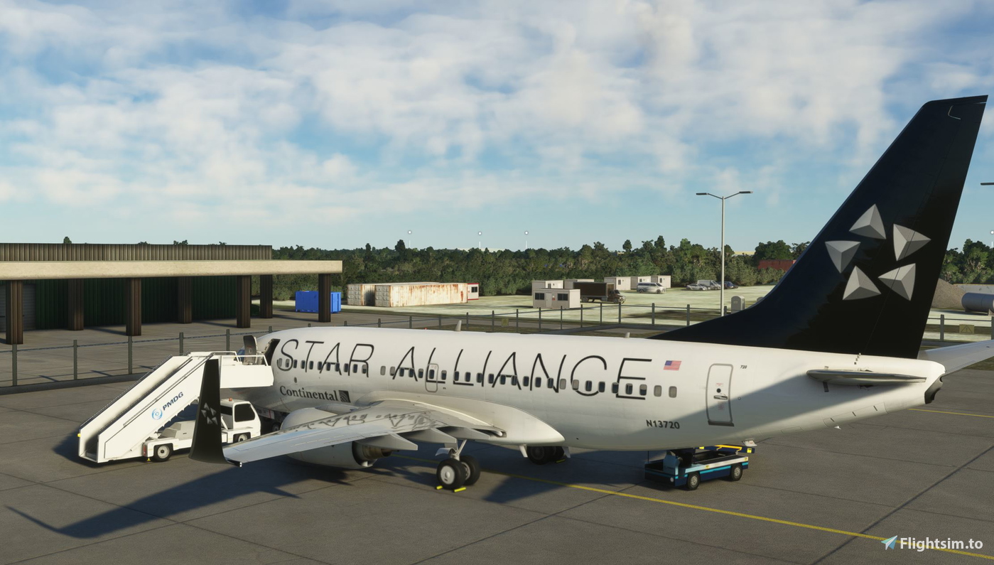 PMDG 737 Continental Airlines - Star Alliance Livery Pack for Microsoft ...