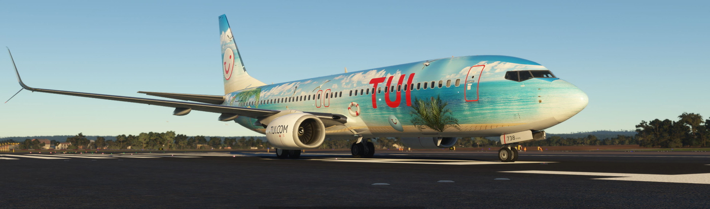 PMDG Boeing 737-800 SSW TUI Belgium Summer Edition for Microsoft Flight ...