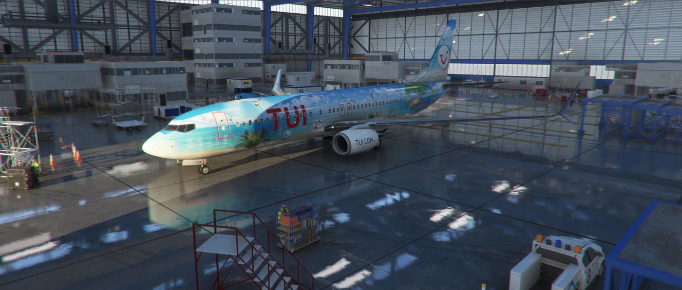 PMDG Boeing 737-800 SSW TUI Belgium Summer Edition for Microsoft Flight ...