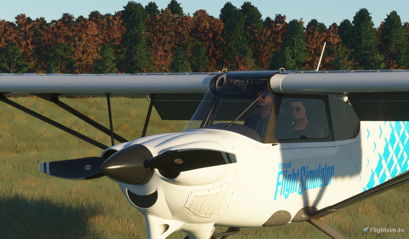 Prop Fix for Asobo's Cub Crafter NXCub for Microsoft Flight Simulator ...