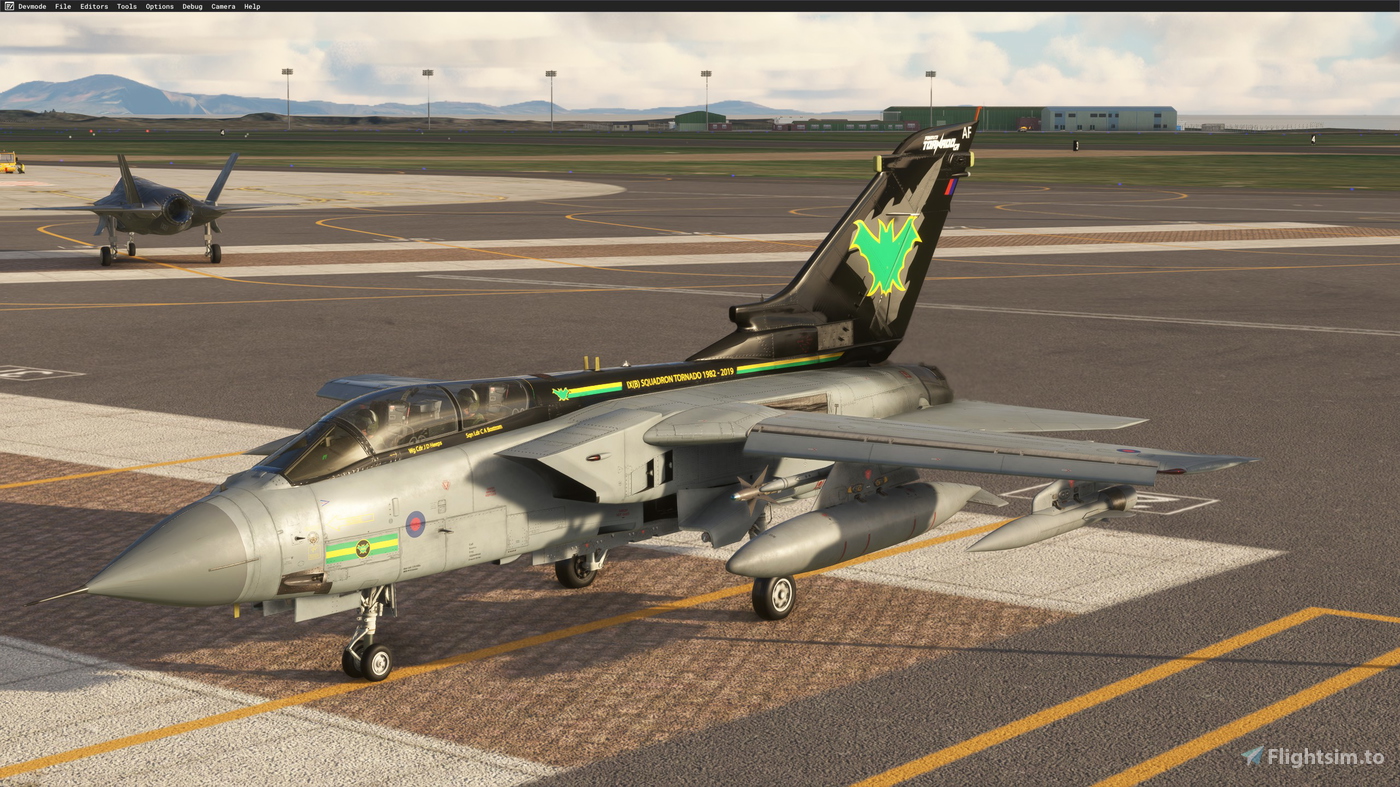 RAF Panavia Tornado GR.4 "9 Sqn Retirement scheme" Tail ZG775 (8K ...