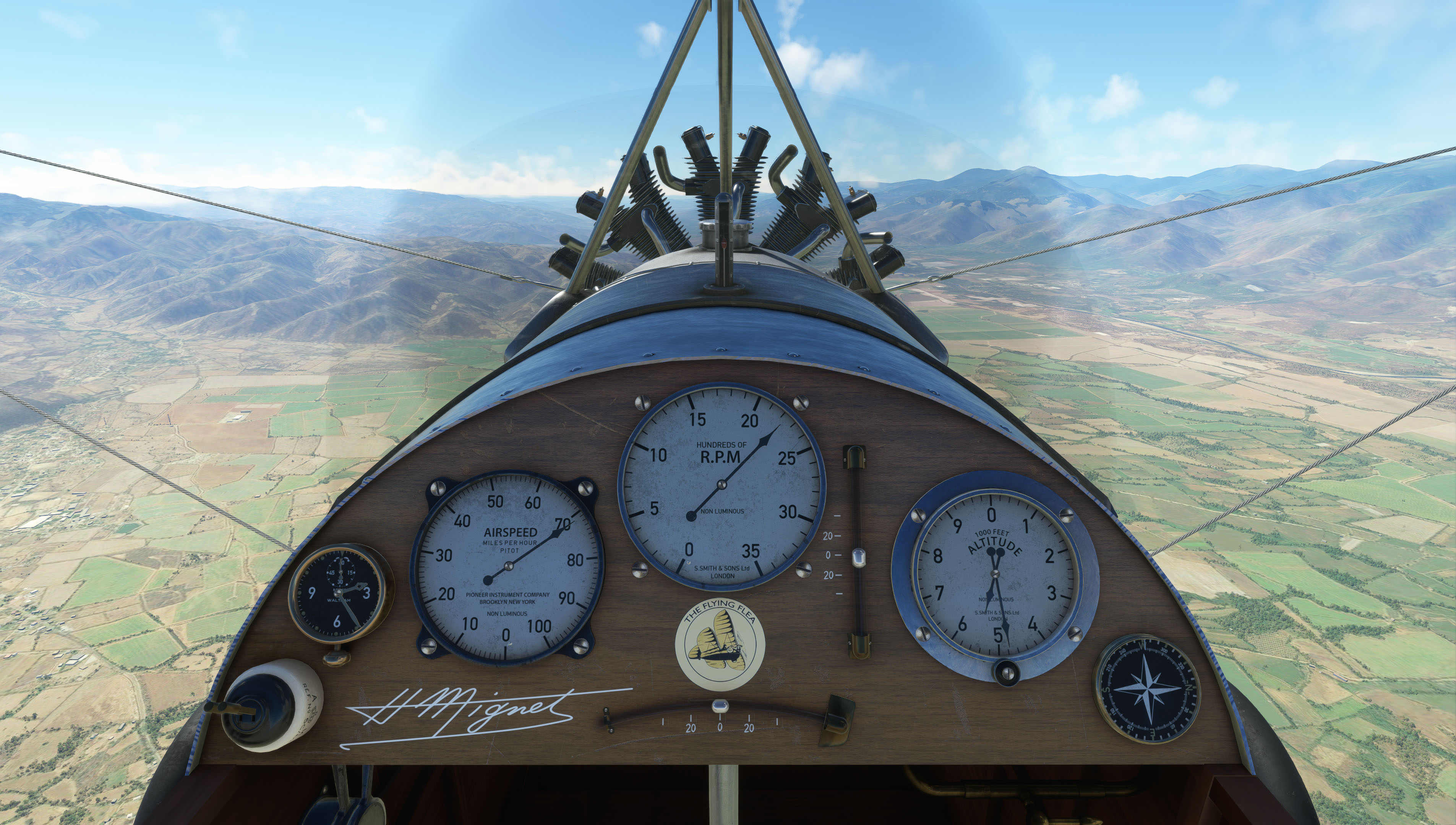 Rara-Avis Sims - Flying Flea (Pou du Ciel) for Microsoft Flight ...