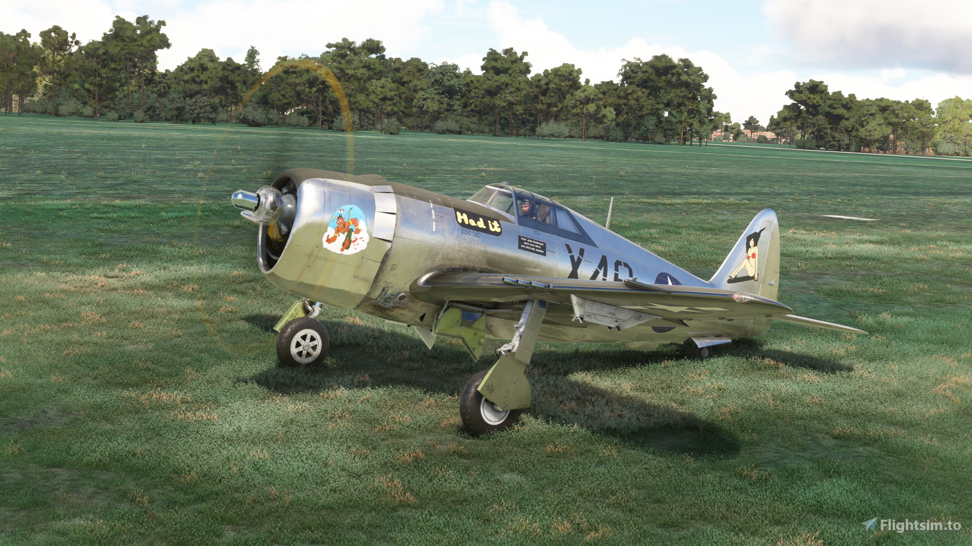 Republic P-47D Razorback 79th FG X46 "Had it" para Microsoft Flight ...