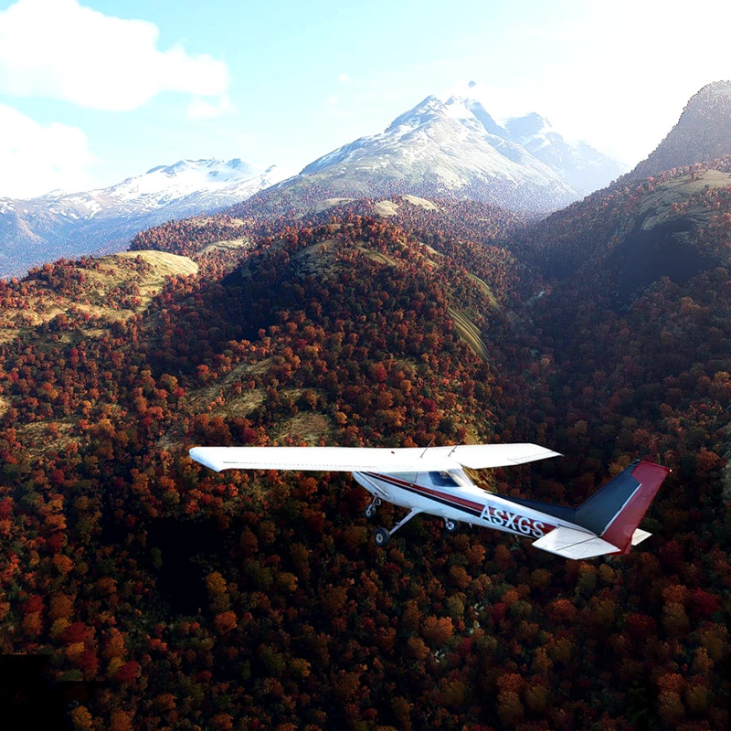 Flightsim.to Store - The #1 for Microsoft Flight Simulator Add-Ons