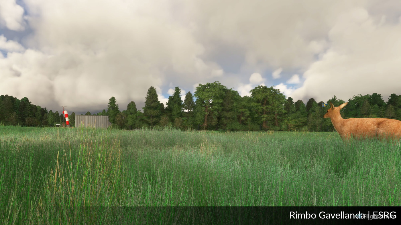 Rimbo Gavellanda | ESRG for Microsoft Flight Simulator | MSFS