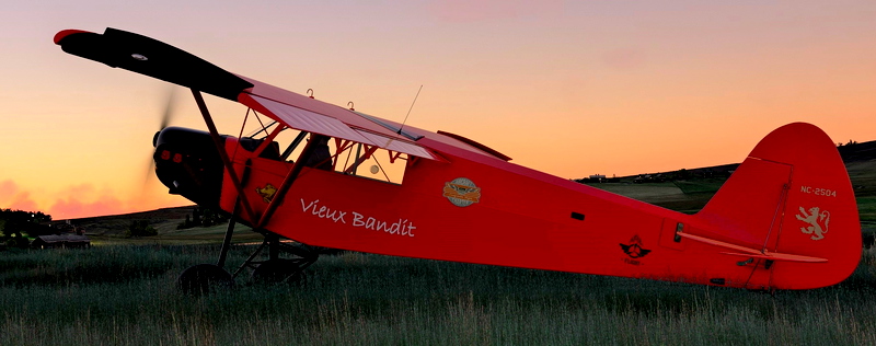 Zlin Savage Cub Liveries for Microsoft Flight Simulator | MSFS ...