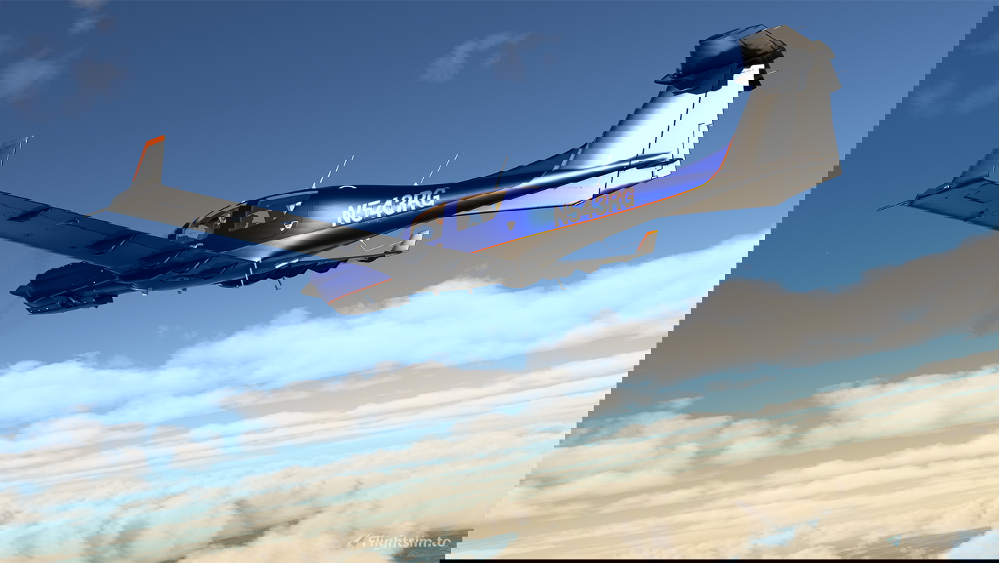 Skyward Simulations DA50 RG - N543RG (Dynamic Registration) for ...