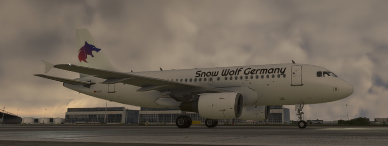 Snow Wolf Germany A319 for Microsoft Flight Simulator | MSFS