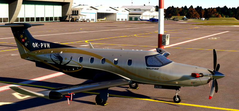 SimWorks Studios PC-12 Liveries for Microsoft Flight Simulator | MSFS