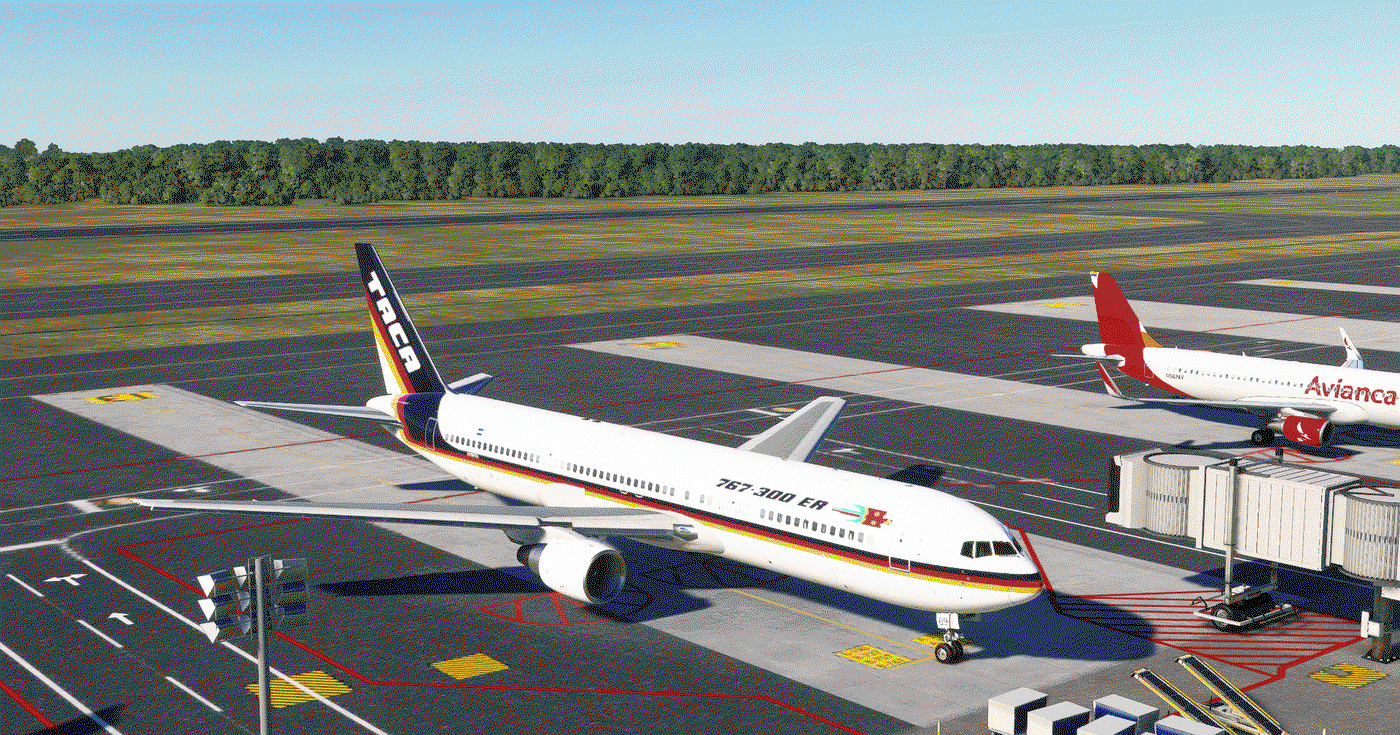 TACA AIRLINES CS 767-300ER for Microsoft Flight Simulator | MSFS