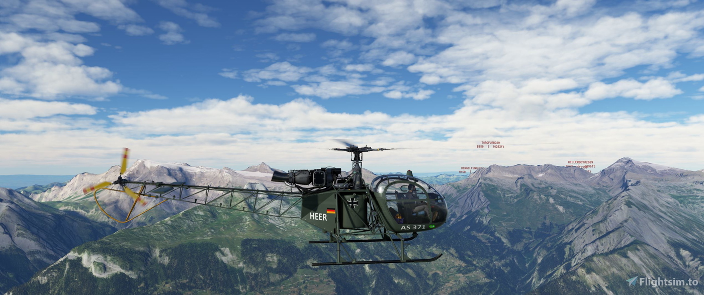 taog-lama-sa315b Heer and Bundesgrenzschutz 5 versions for Microsoft ...