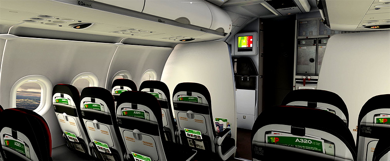 Tap Air Portugal CS-TNN Fuselage/Cabin (8k) Fenix Simulation A320v2 for ...