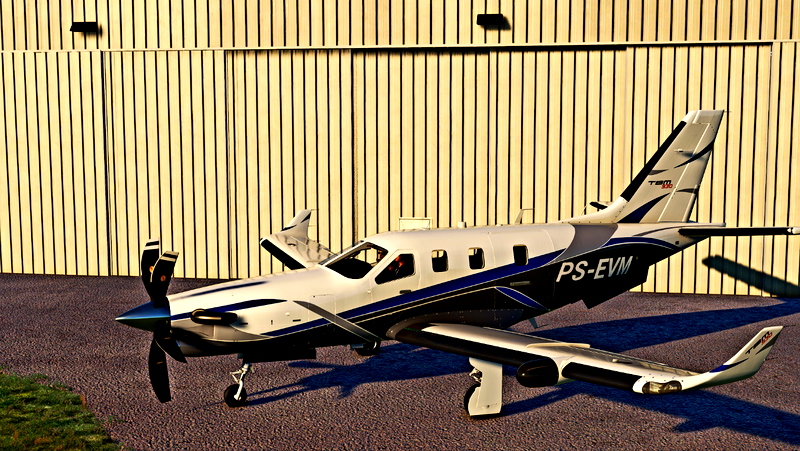 Daher TBM 930 Liveries for Microsoft Flight Simulator | MSFS