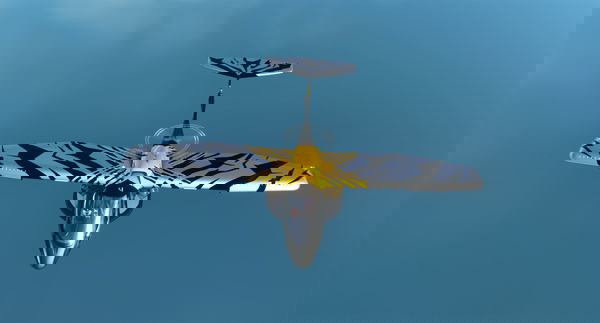 Icon A5 Thunderbird Livery for Microsoft Flight Simulator | MSFS