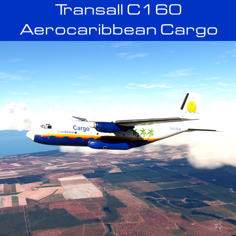 Transall C-160 Liveries for Microsoft Flight Simulator | MSFS