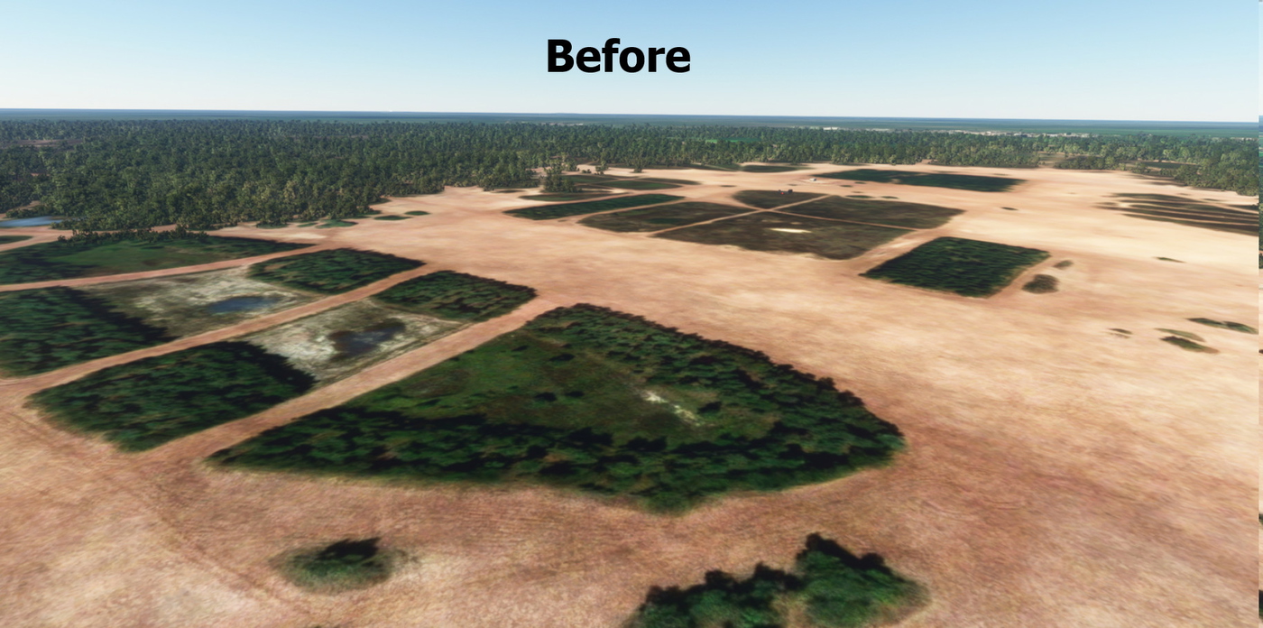 Trees in Oirschotse Heide for Microsoft Flight Simulator | MSFS