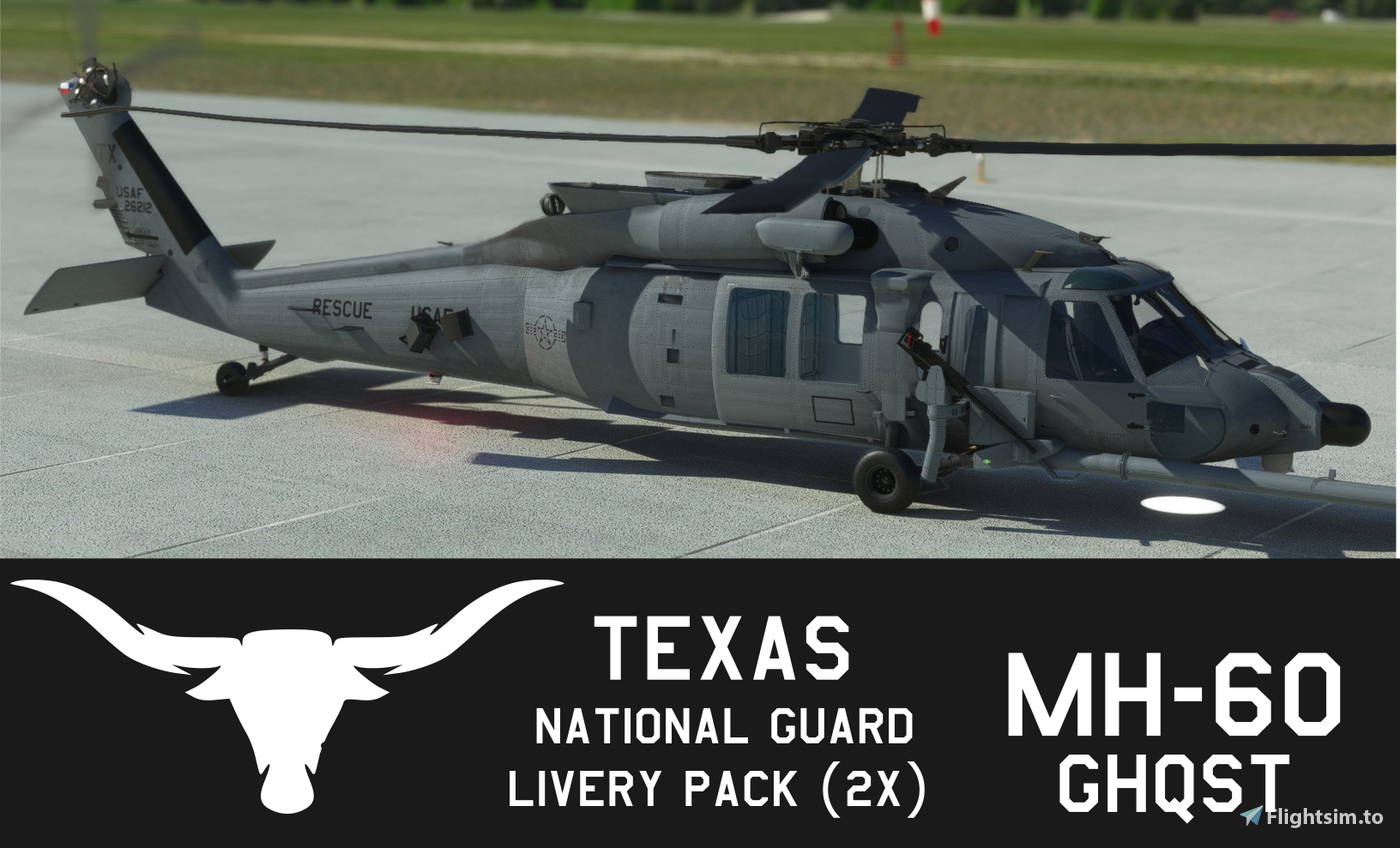 TX Longhorns Livery Pack (2X) for Microsoft Flight Simulator | MSFS