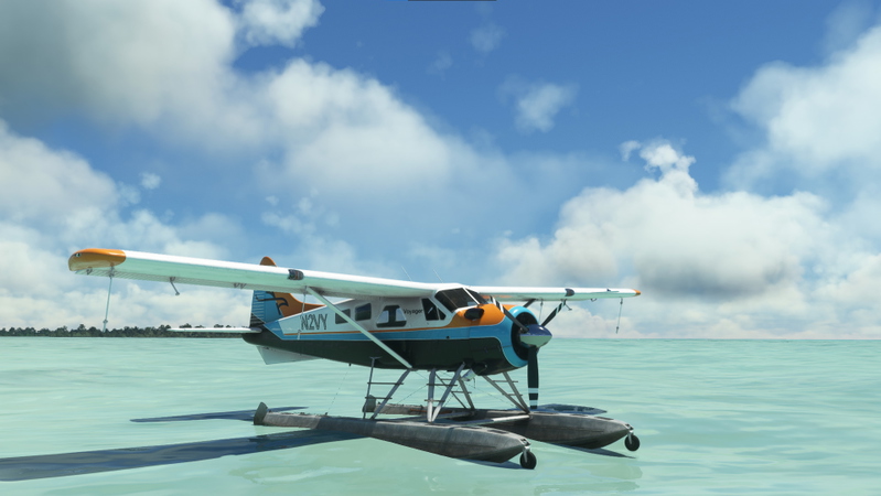 Havilland DHC-2 Beaver Liveries for Microsoft Flight Simulator | MSFS