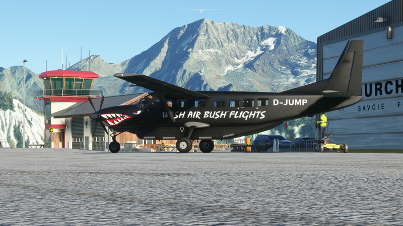 Cessna 208 B Liveries for Microsoft Flight Simulator | MSFS