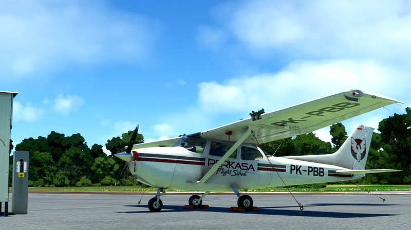 Cessna 172 Liveries for Microsoft Flight Simulator | MSFS | Flightsim.to
