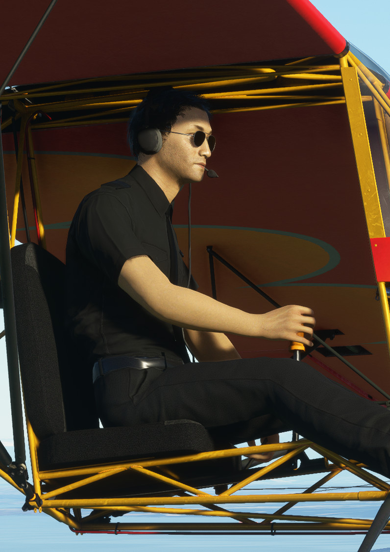 Women In Aviation for Microsoft Flight Simulator | MSFS