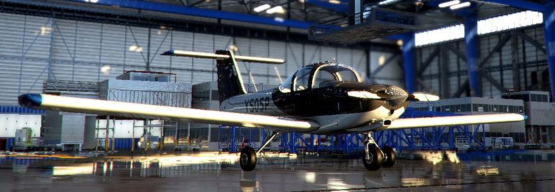 PA-28 Warrior II Liveries for Microsoft Flight Simulator | MSFS