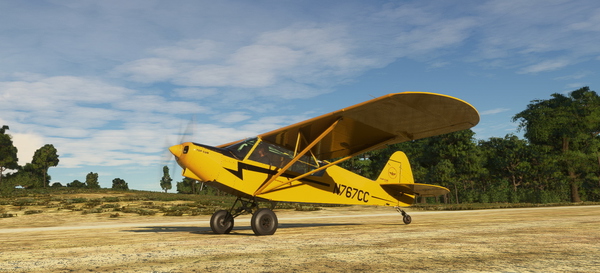 Savage Cub 24-8457 for Microsoft Flight Simulator | MSFS