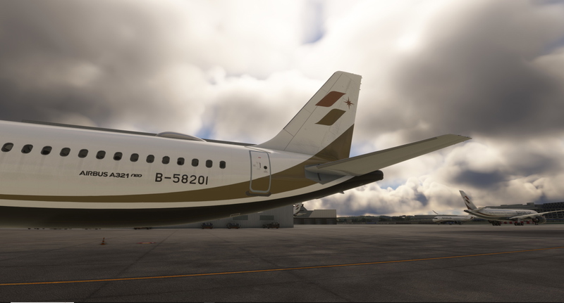 FSLabs Airbus A321neo Liveries for Microsoft Flight Simulator | MSFS