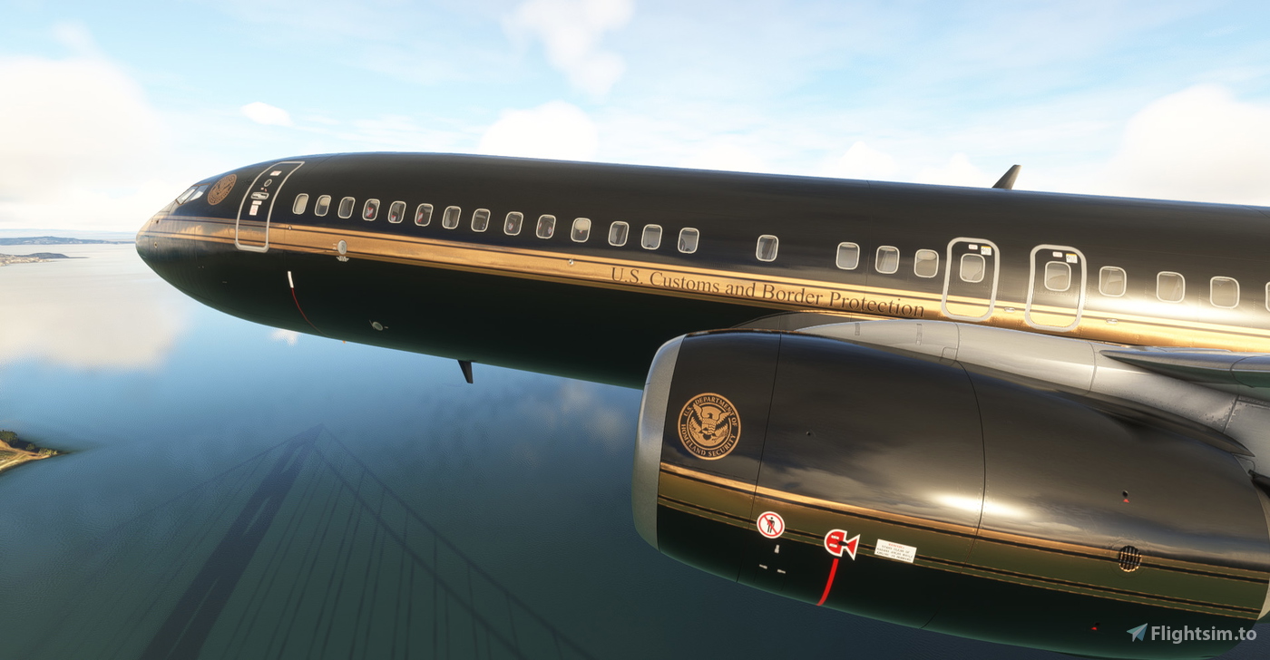 US Customs and Border Protection N989US for Microsoft Flight Simulator ...