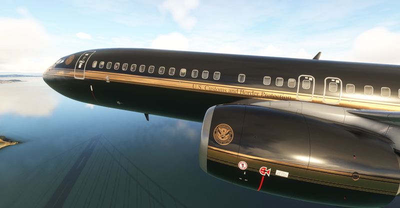 US Customs and Border Protection N989US for Microsoft Flight Simulator ...