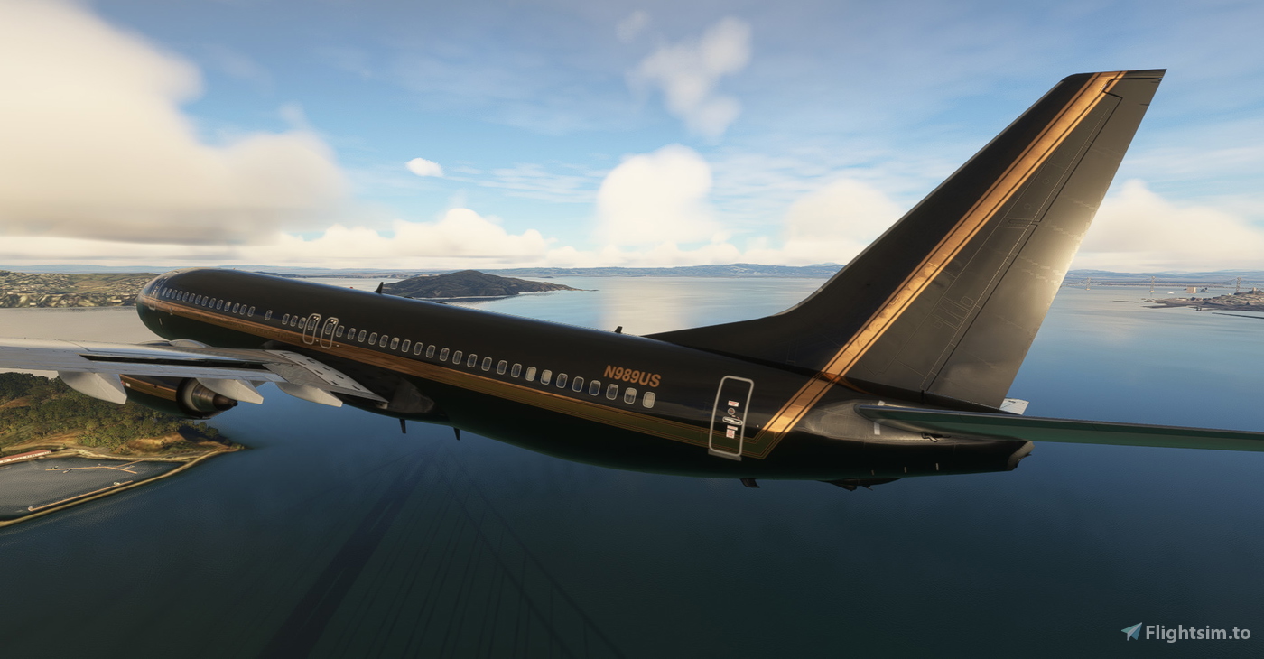 US Customs and Border Protection N989US for Microsoft Flight Simulator ...