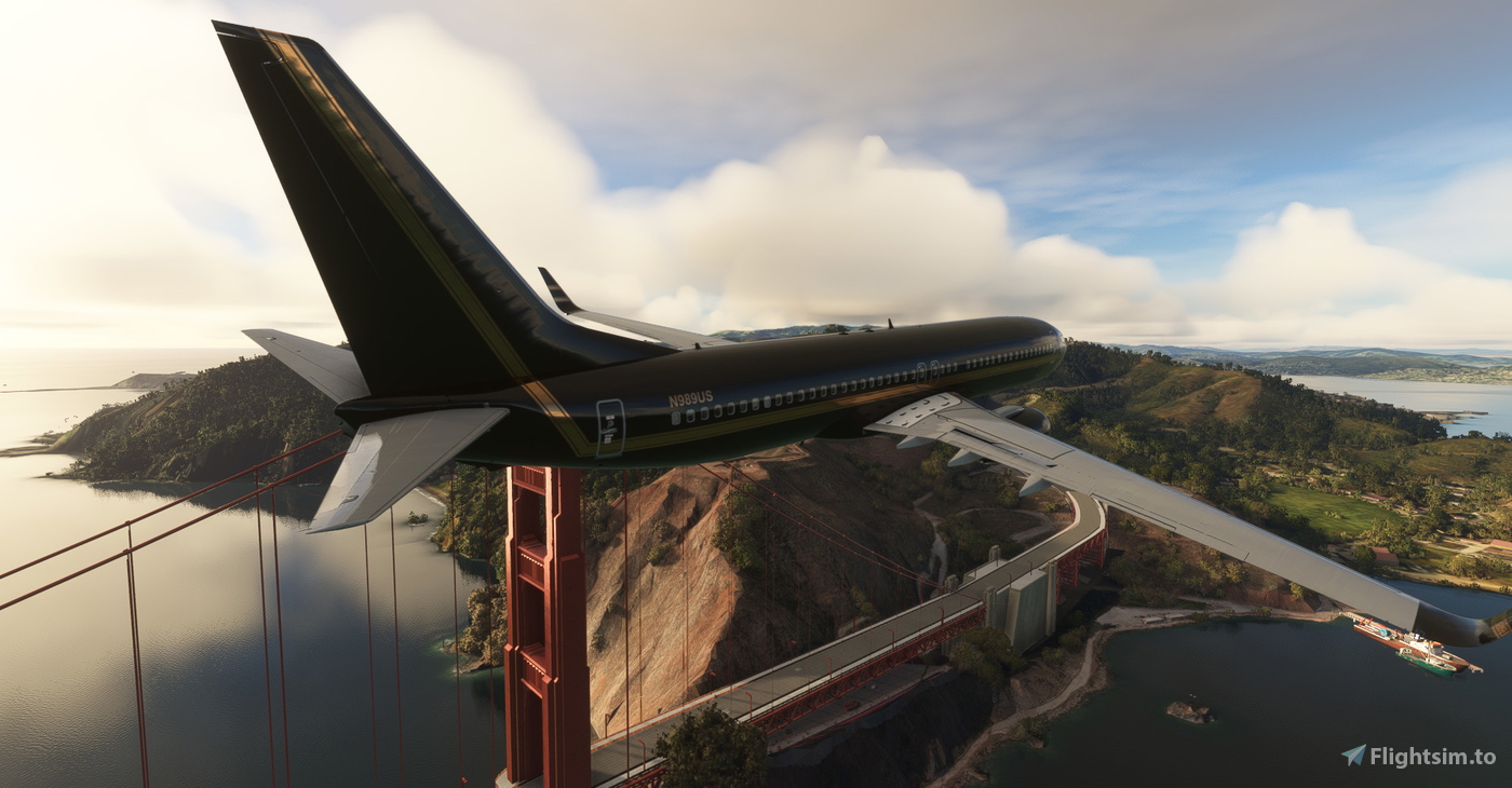 US Customs and Border Protection N989US for Microsoft Flight Simulator ...