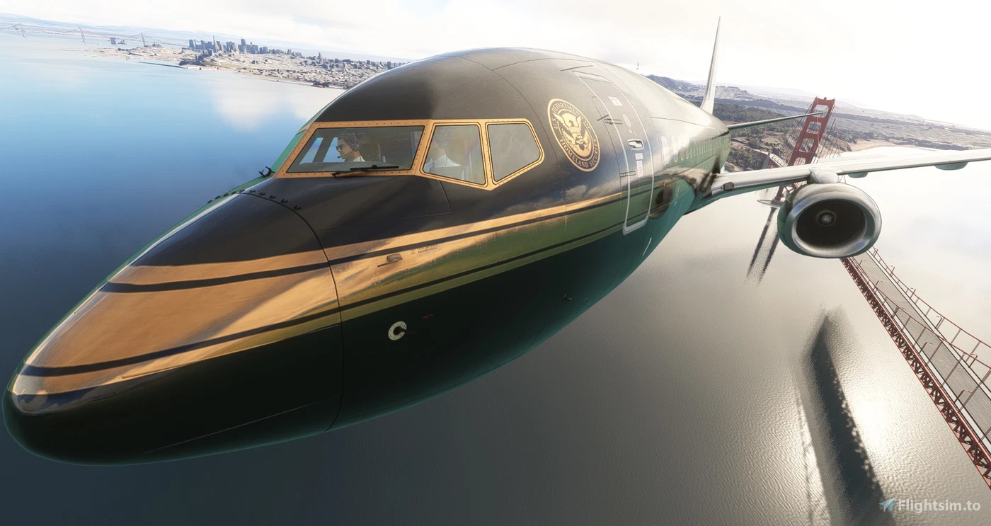 US Customs and Border Protection N989US 对于 Microsoft Flight Simulator ...