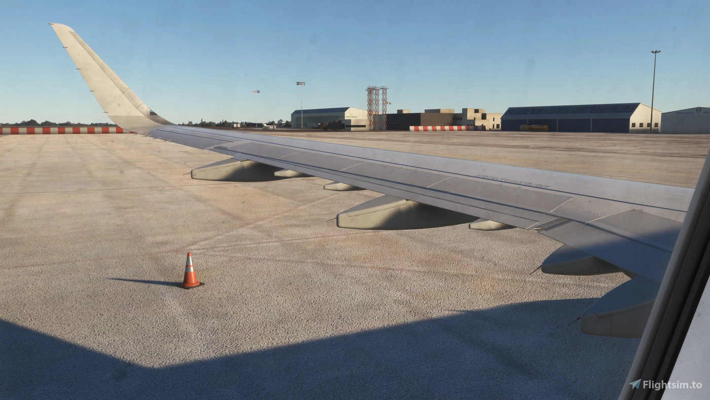 Fenix Simulations A321 CFM & IAE Custom Views for Microsoft Flight Simulator | MSFS