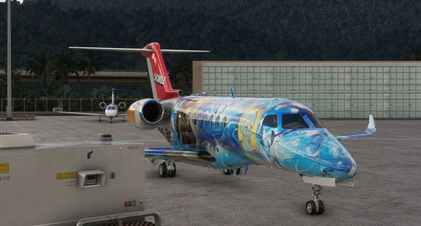 [4K] Cessna Citation Longitude "Skibidi Brainrot" Livery [Fictional ...