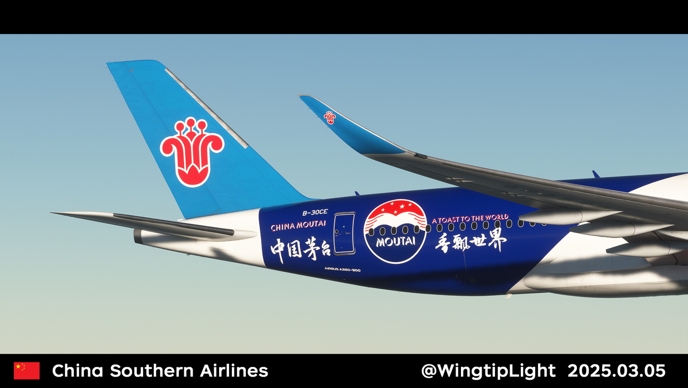 China Southern Airline Logo