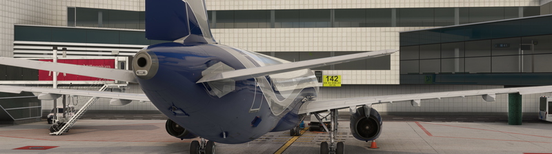 A321-231 Hi Fly Texture IAE (CS-TRJ) for Microsoft Flight Simulator | MSFS