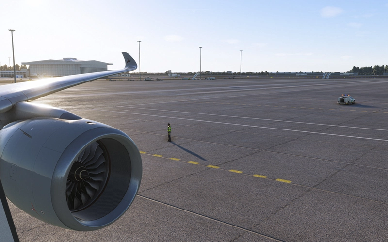 Custom Views for iniBuilds A350 Airliner on Microsoft Flight Simulator