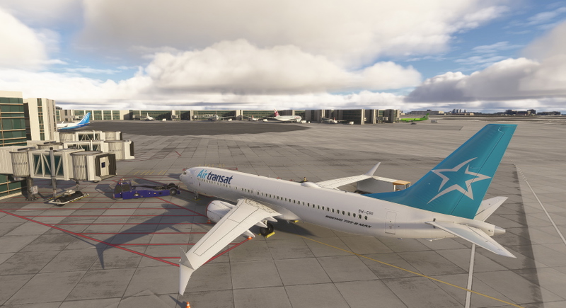 Boeing 737 MAX 8 Liveries for Microsoft Flight Simulator | MSFS