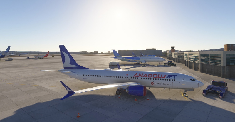 Boeing 737 MAX 8 Liveries のために Microsoft Flight Simulator | MSFS