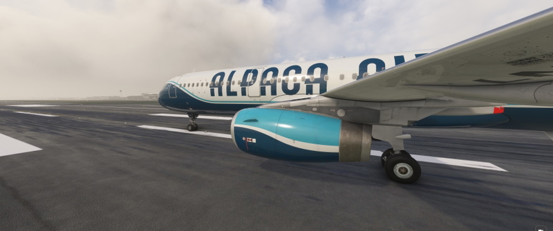 Fenix Simulations A321 Liveries for Microsoft Flight Simulator | MSFS