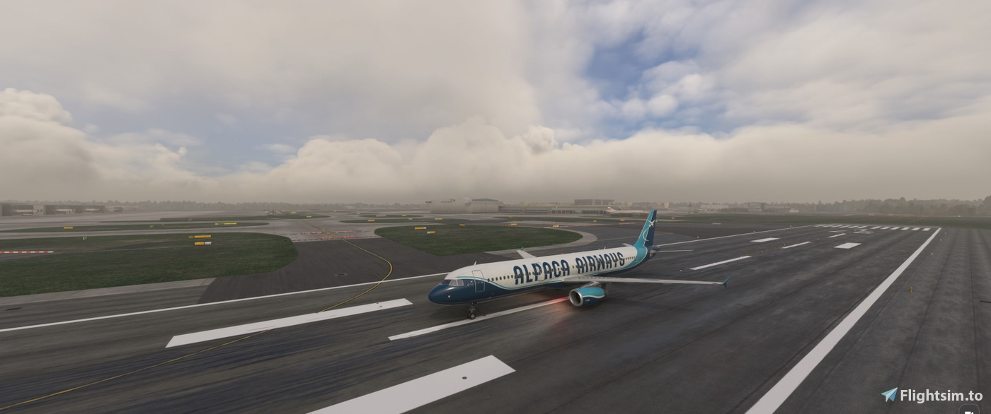 Alpaca Airways Corporate | Fenix A321 for Microsoft Flight Simulator | MSFS