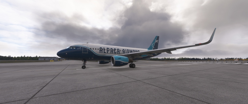 Fenix Simulations A319 Liveries for Microsoft Flight Simulator | MSFS