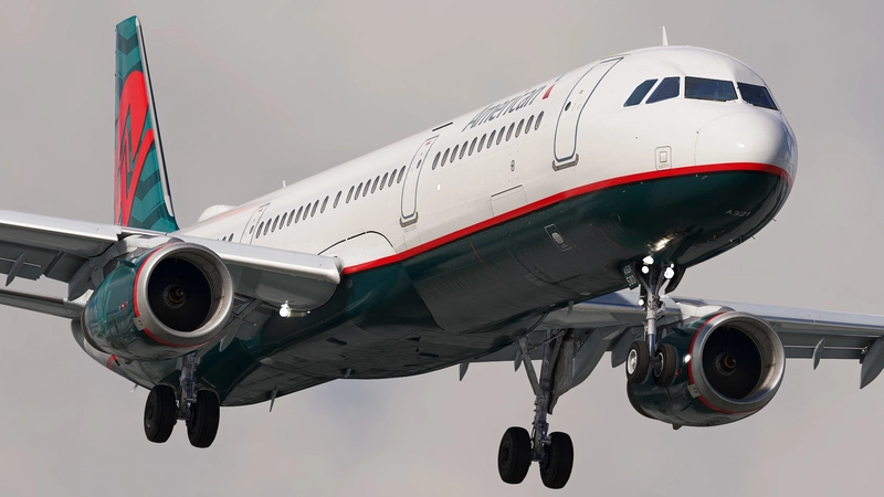 Fenix Simulations A321 Liveries for Microsoft Flight Simulator | MSFS