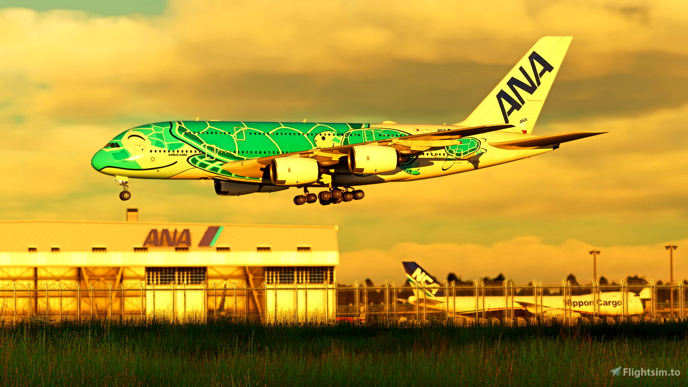 Threads - ANA (All Nippon Airways) 'Kai - Green Turtle' Flying Honu ...