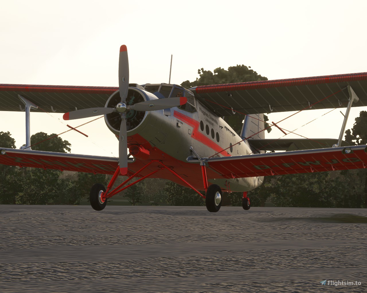 Antonov an2 D-FWJG para Microsoft Flight Simulator | MSFS
