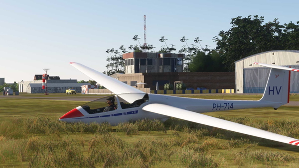 ASK 21 D-2153 for Microsoft Flight Simulator | MSFS