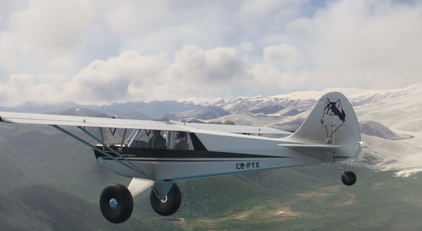 Asobo Husky A1C / CC-ANP for Microsoft Flight Simulator | MSFS