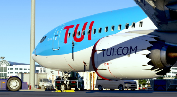 [Asobo B737 MAX 8] All Nippon Airways JA030A for Microsoft Flight ...